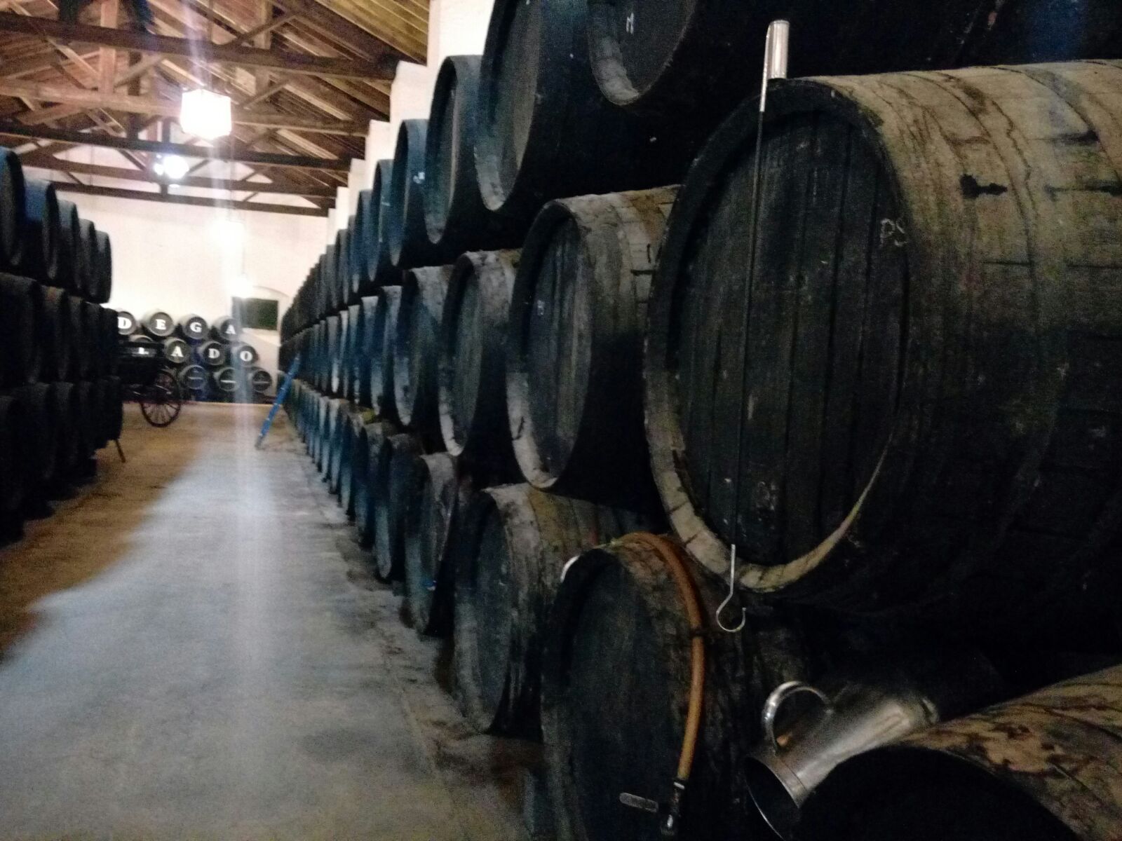 Bodegas Salado